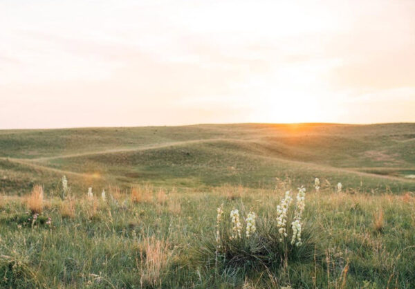 Home - Brown County Government