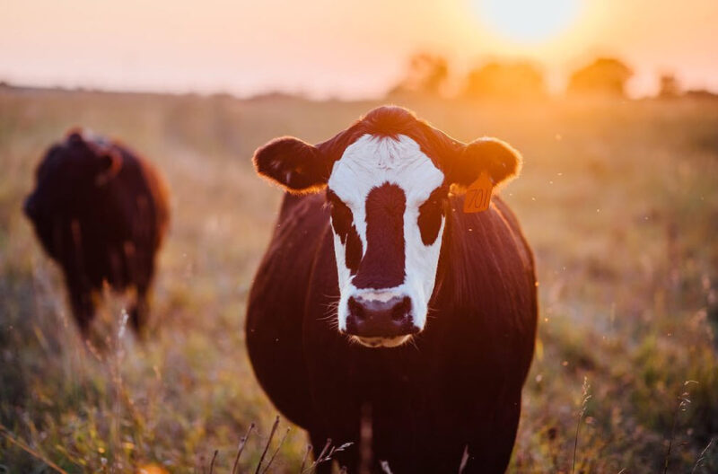 About – Brown County Government